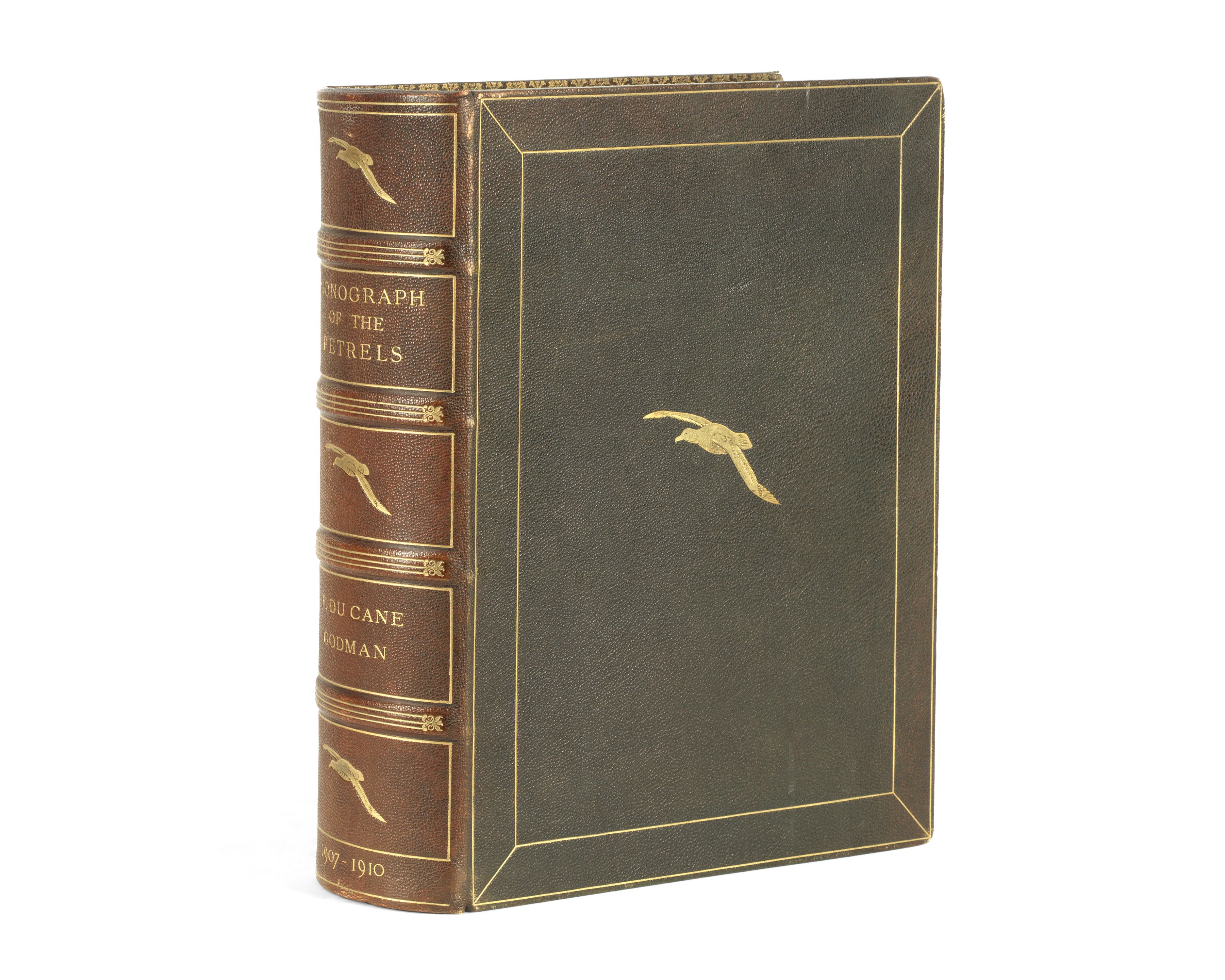 Bonhams : GODMAN (FREDERICK DU CANE) A Monograph of the Petrels (Order ...