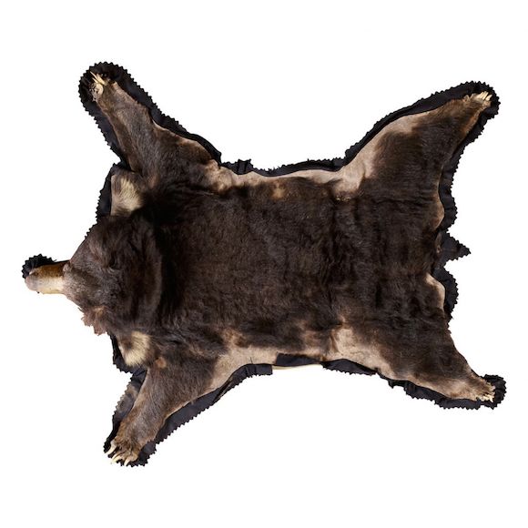Bonhams : A Sloth bear rug By Van Ingen and Van Ingen of Mysore