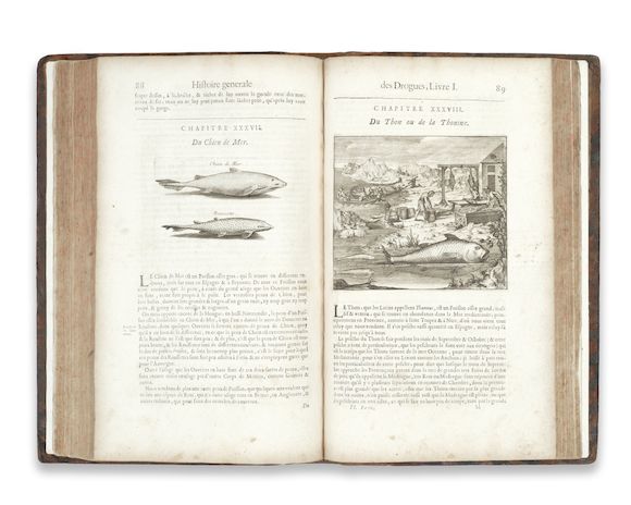 Bonhams : POMET (PIERRE) Histoire générale des drogues, 3 parts in 1 ...