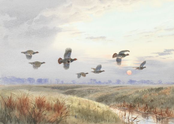 Bonhams : John Cyril Harrison (British, 1898-1985) Partridge at dusk (I)