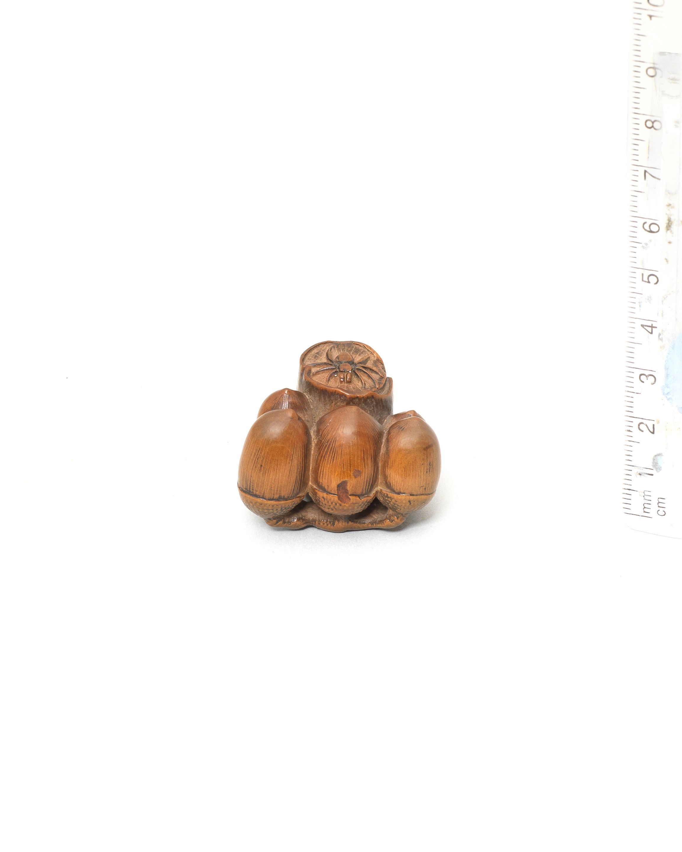 Bonhams : A boxwood netsuke of a spider on an oak branch By Mitani Goho ...