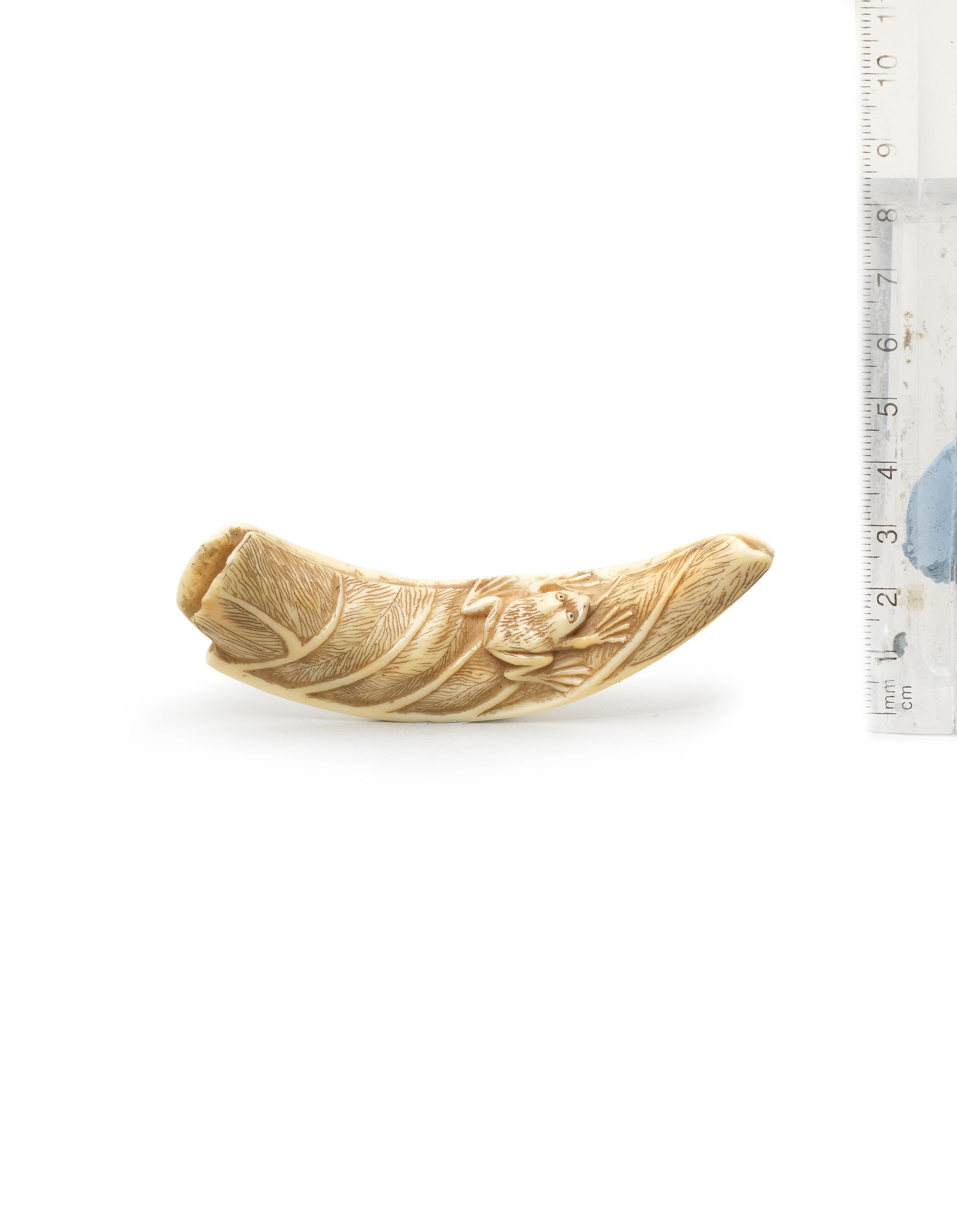 Bonhams : A boar-tusk netsuke of a frog on a folded leaf By Kanman ...