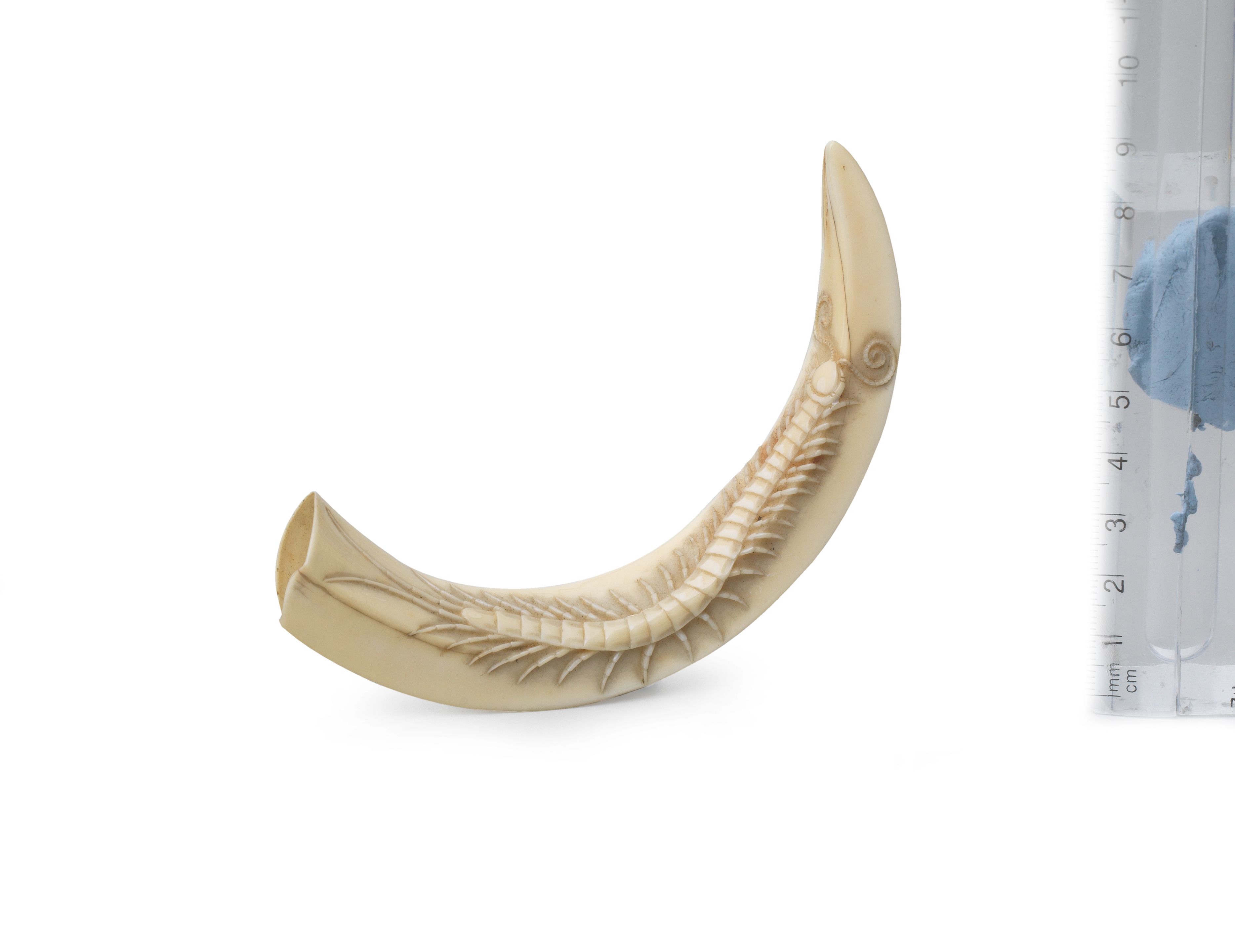 Bonhams : A boar-tusk netsuke with a centipede, ferns and poems By ...