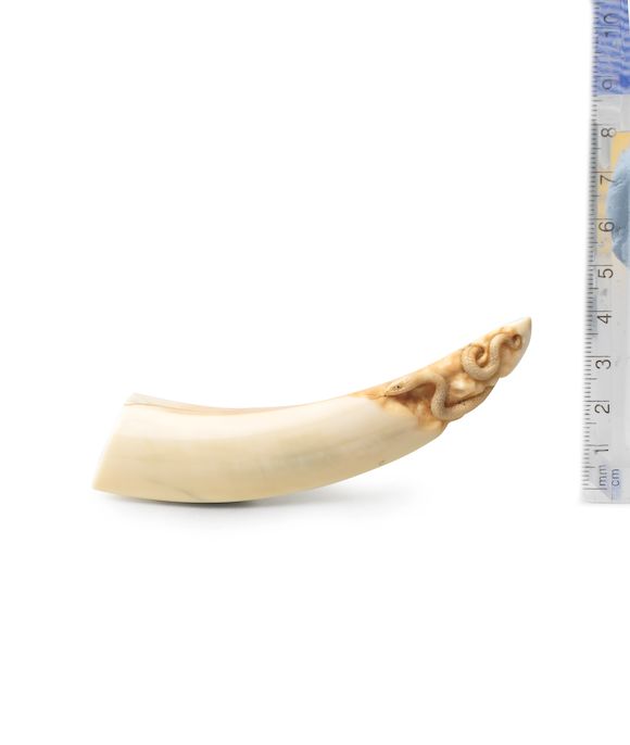 Bonhams : A boar-tusk netsuke with a snake Iwami Province, early 19th ...