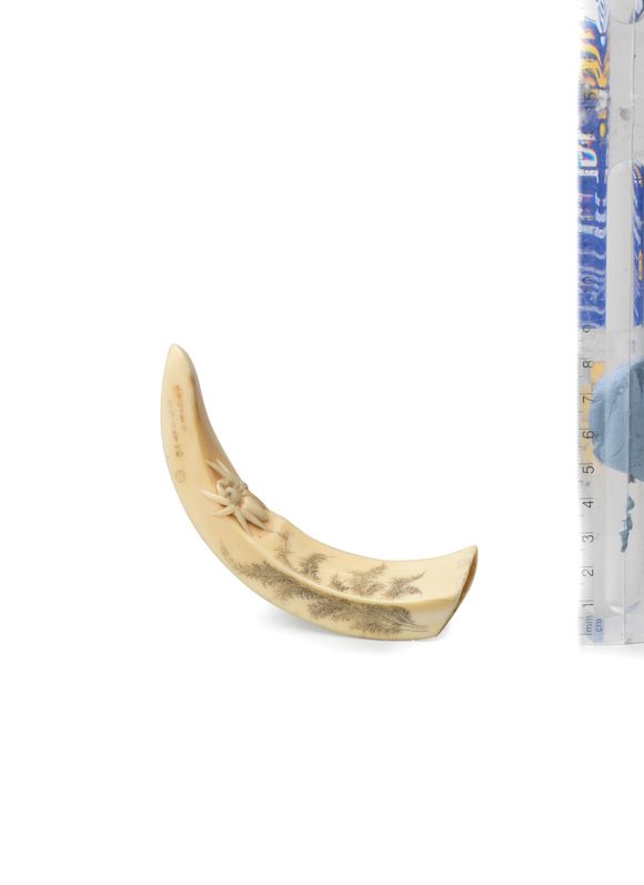 Bonhams : A boar-tusk netsuke with a spider and ferns By Seiyodo ...