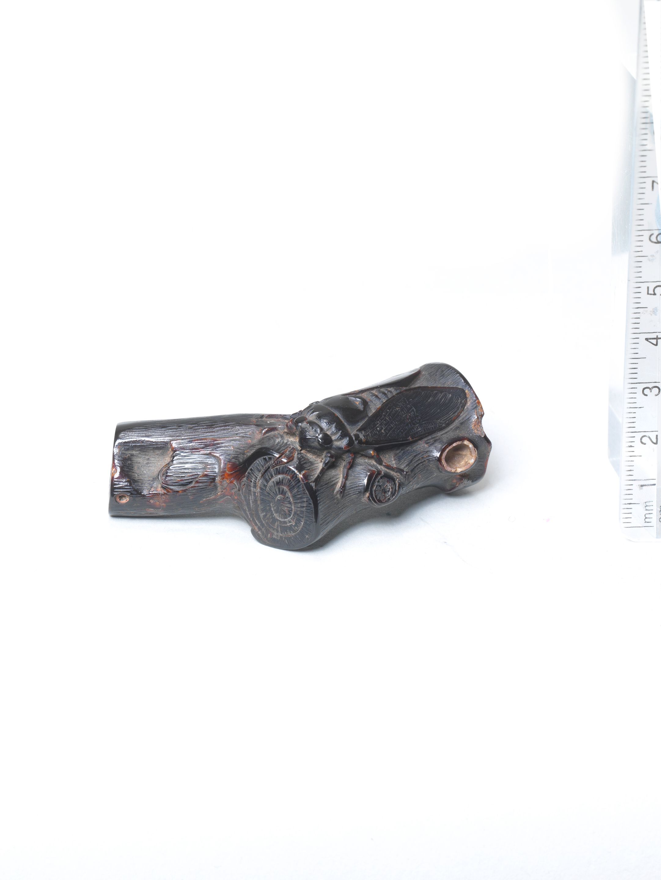 Bonhams : An umimatsu (sea-pine) netsuke of a cicada on a branch By ...