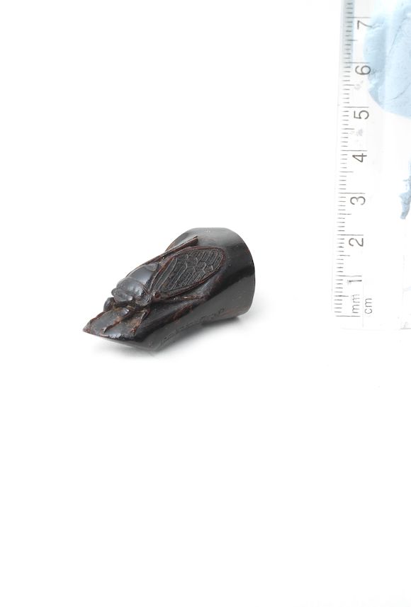 Bonhams : An umimatsu (sea-pine) netsuke of a cicada on a branch By ...