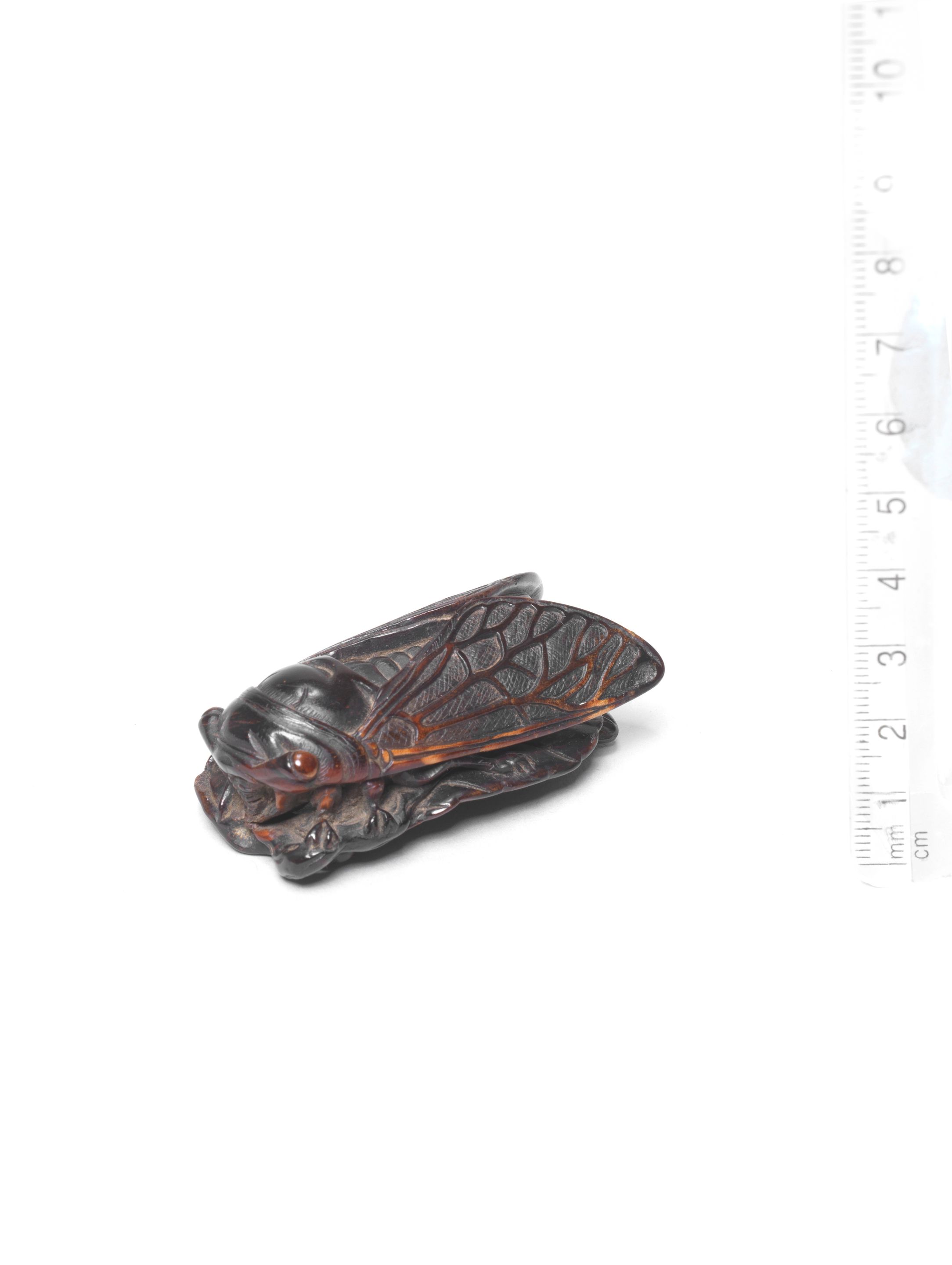 Bonhams : An umimatsu (sea-pine) netsuke of a cicada on a pile of ...