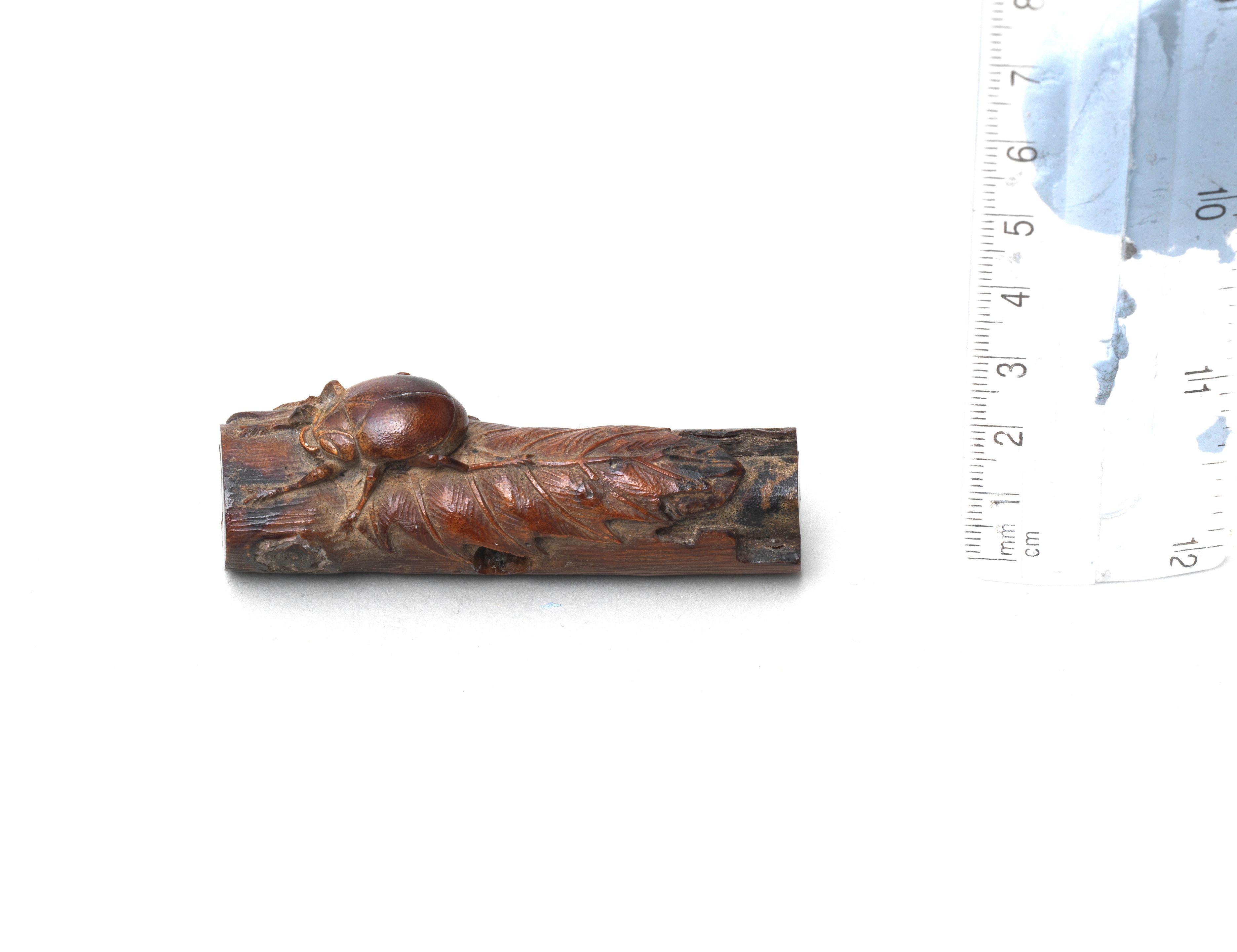 Bonhams : An umimatsu (sea-pine) netsuke of a beetle on a decaying ...