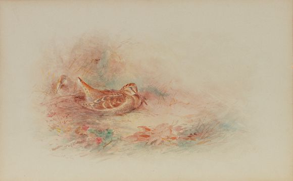 Bonhams : James Stinton (British, 1870-1961) Nesting Woodcock (together ...