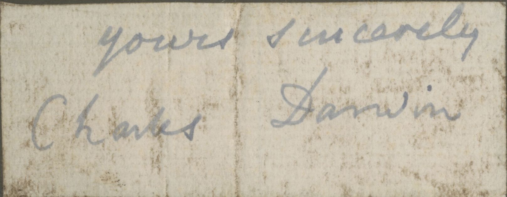 Bonhams Darwin Charles The Descent Of Man And Selection In Relation To Sex Second