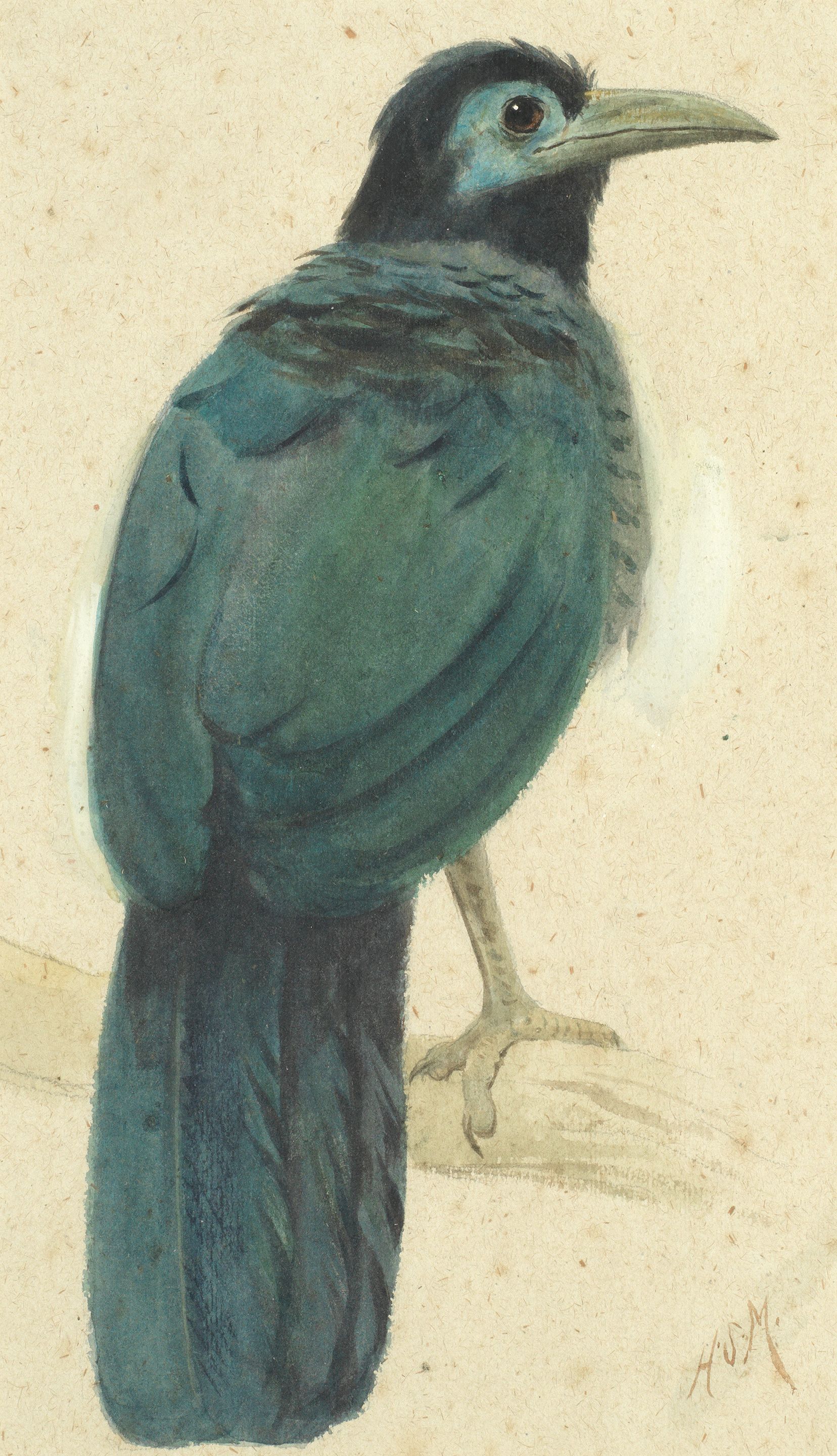 Henry Stacy Marks - lots in our price database - LotSearch