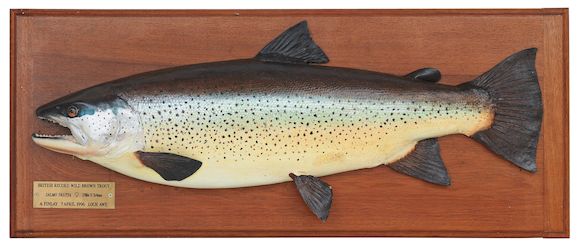 Bonhams : A model of the British Record Loch Awe Brown Trout