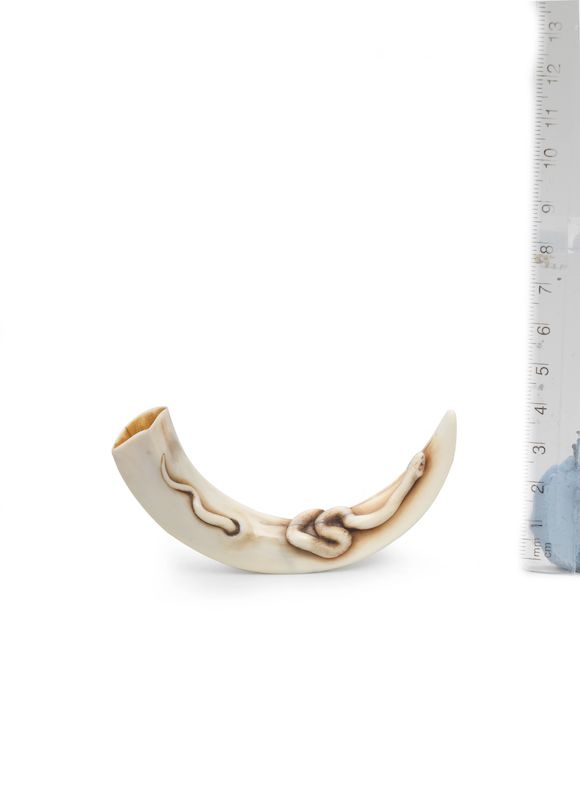 Bonhams : A boar-tusk netsuke with a snake Early 19th century