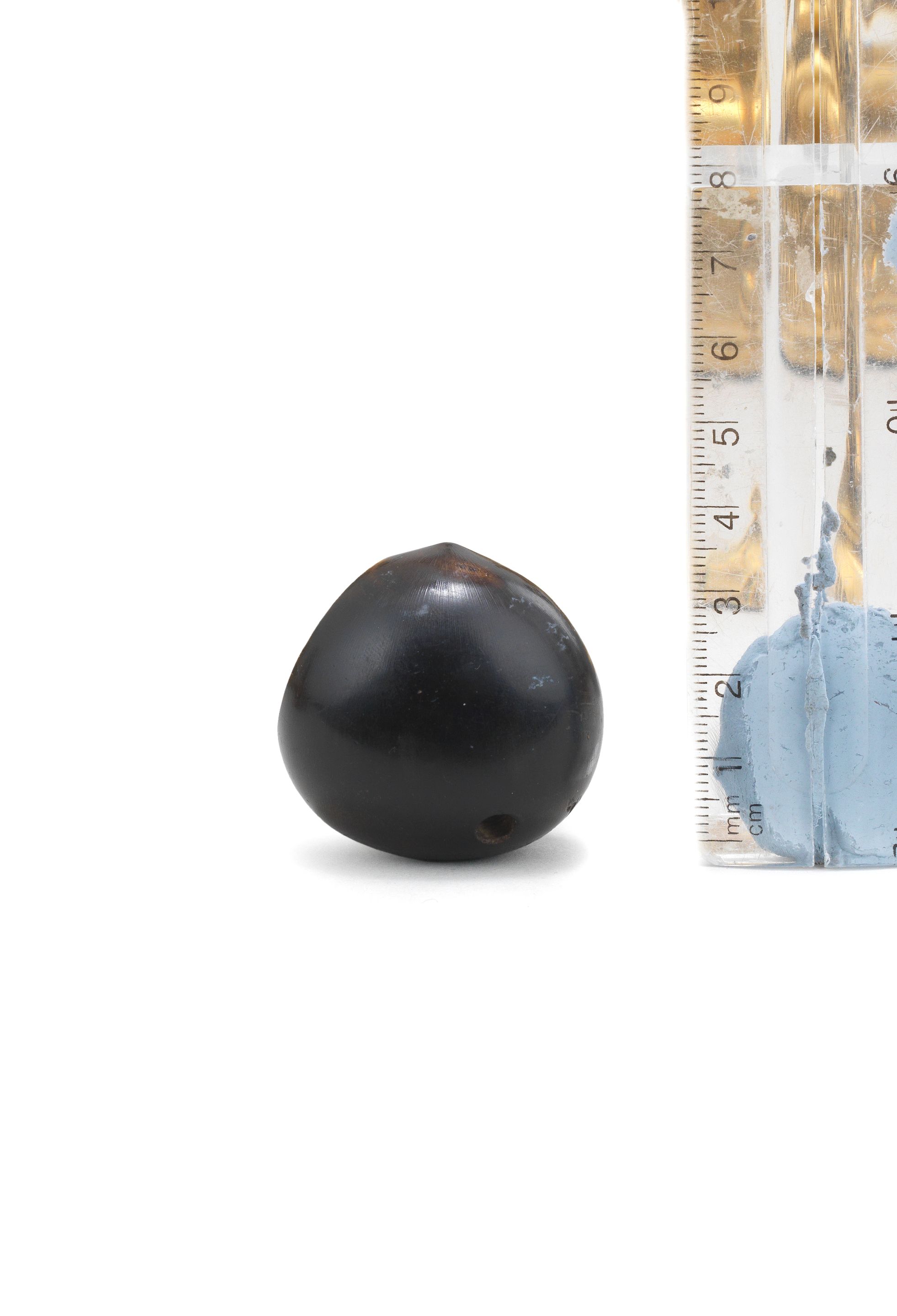 Bonhams : A buffalo-horn netsuke of a chestnut By Seiyodo Tomiharu ...