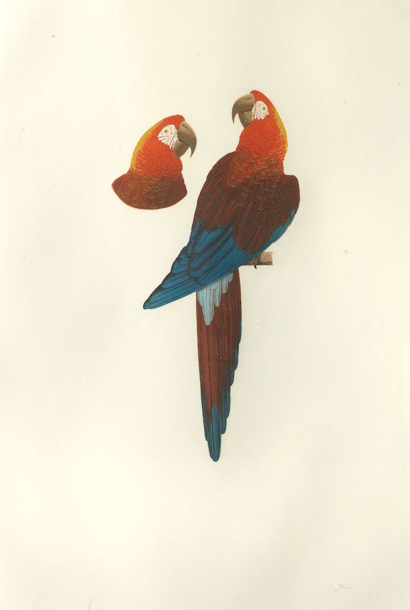 Bonhams : Elizabeth Butterworth (British, born 1949), Elizabeth ...