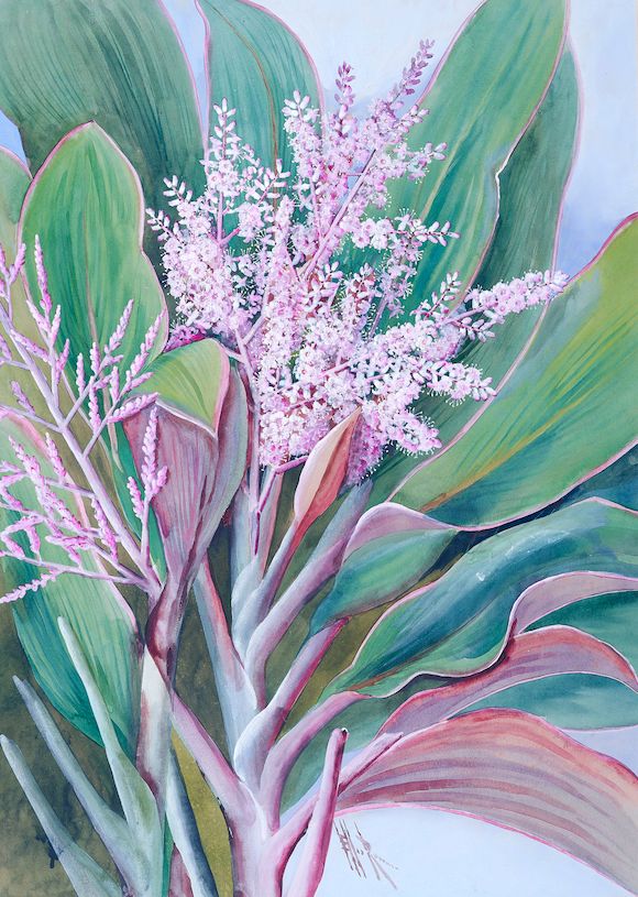 Bonhams : Marian Ellis Rowan (1848-1922) Untitled (Flowering Cordylines)