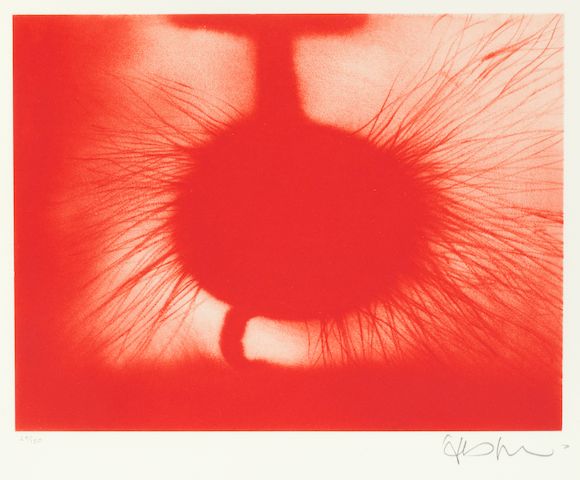 Bonhams : Anish Kapoor (British, born 1954) Untitled Polymer gravure ...
