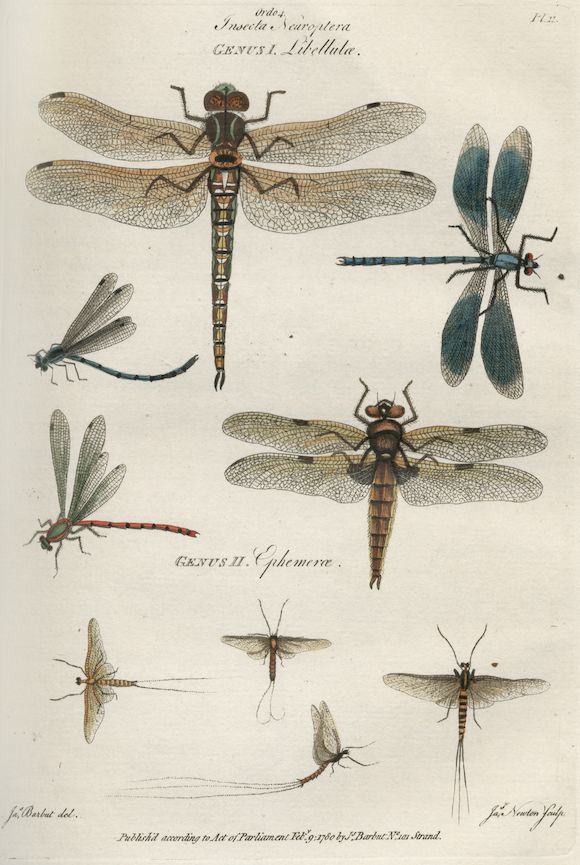 Bonhams : BARBUT (JACQUES) Les genres des insectes de Linné; constatés ...