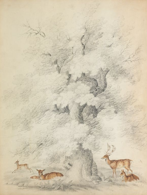 Bonhams : G.A. Foley Fallow Deer Beneath an Oak Tree