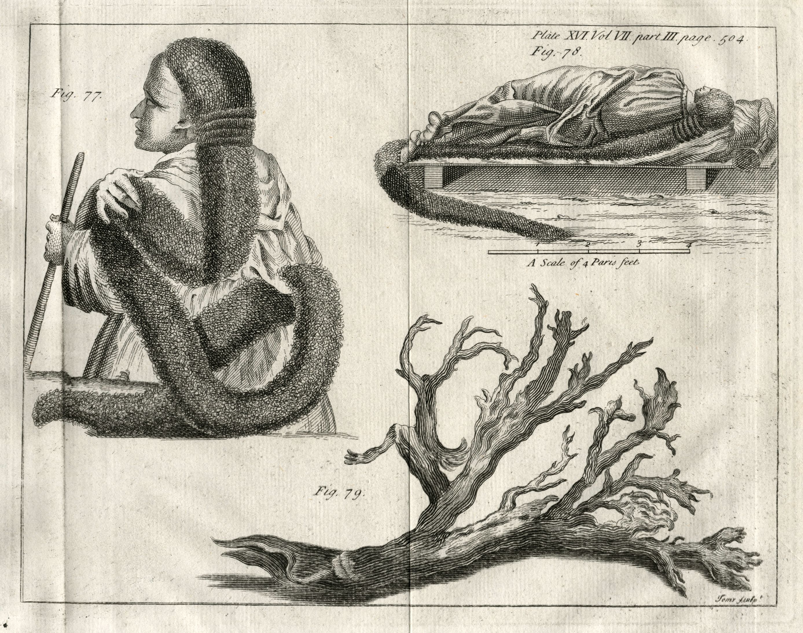 Bonhams : ROYAL SOCIETY The Philosophical Transactions and Collections ...