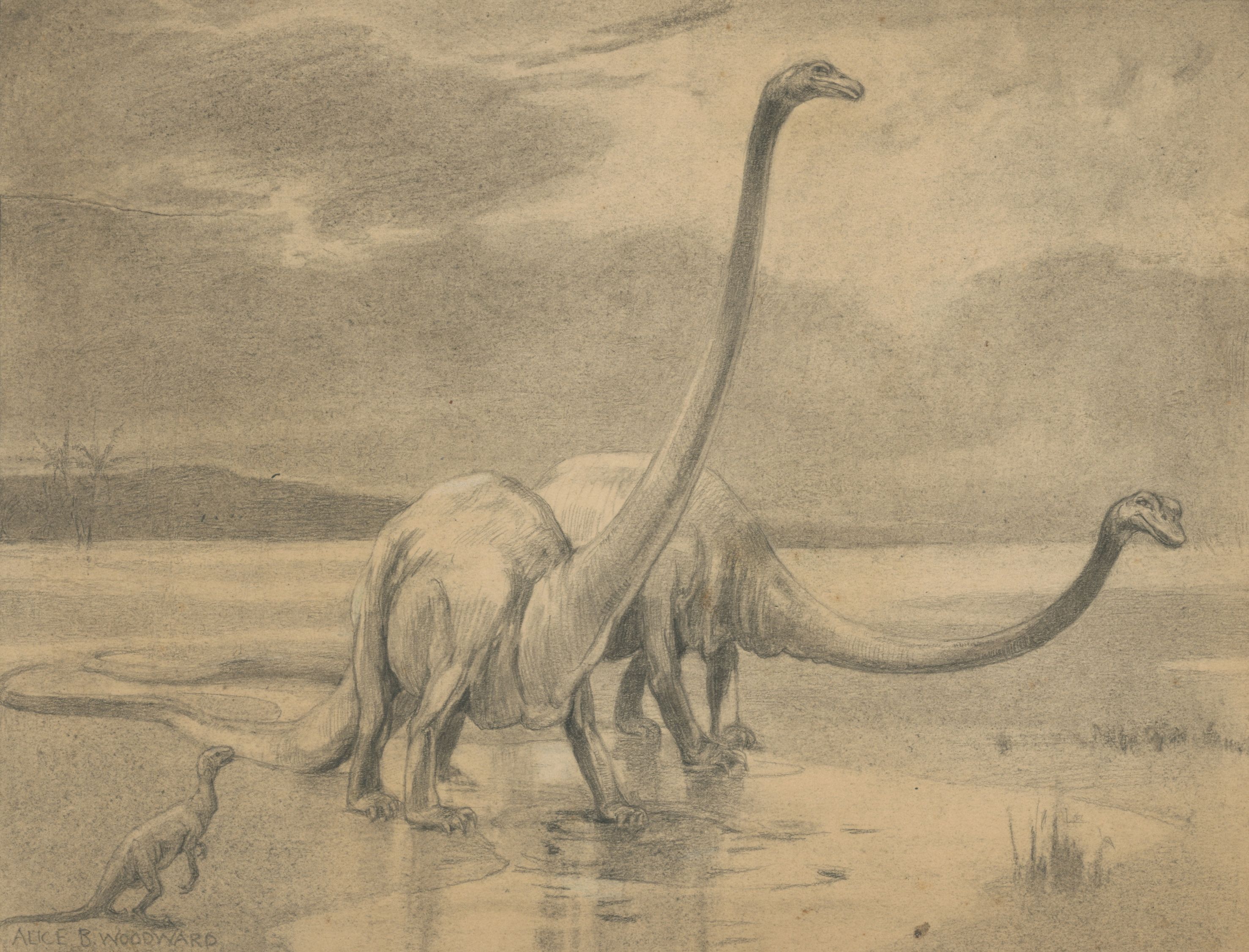 Cryolophosaurus Dinosaur Coloring Page