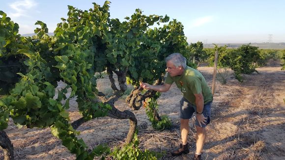 Bonhams : Jeff Grier - Villiera, A Villiera Adventure for 6 people - A ...