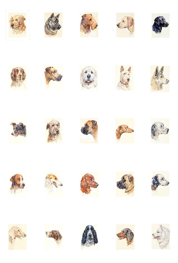 Bonhams : Peter Biegel (British, 1913-1987) A collection of dog studies ...