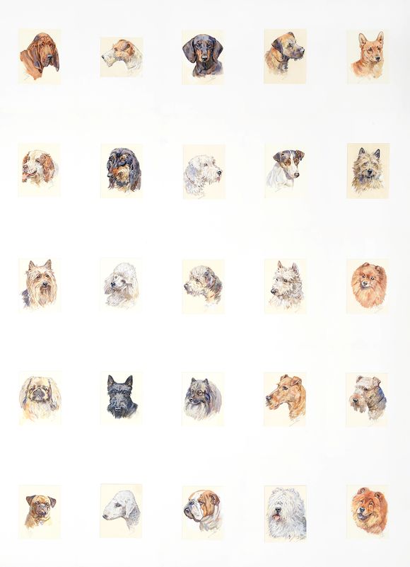 Bonhams : Peter Biegel (British, 1913-1987) A collection of dog studies ...