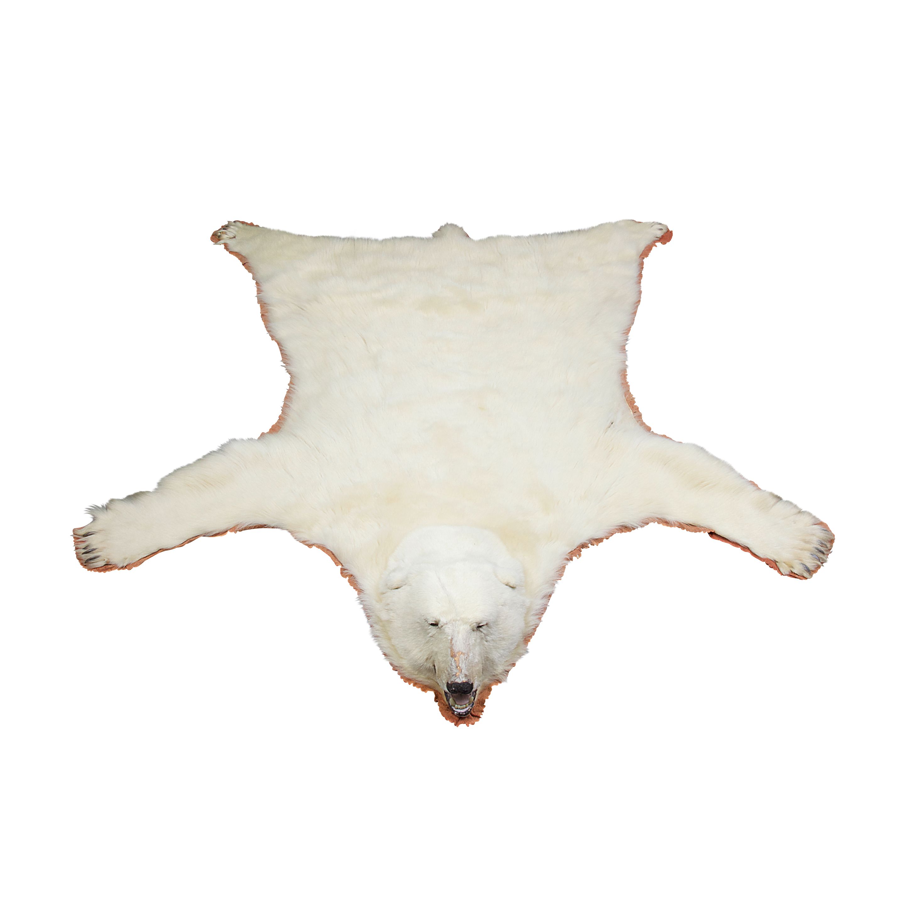 Bonhams : A polar bear skin rug