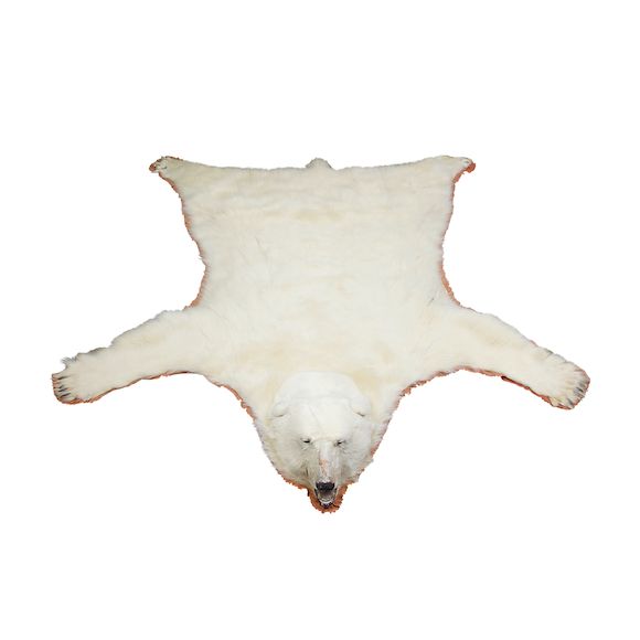 Bonhams : A polar bear skin rug