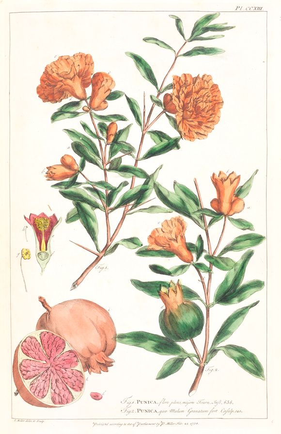 Bonhams : MILLER (PHILLIP) Figures of the Most Beautiful, Useful and ...