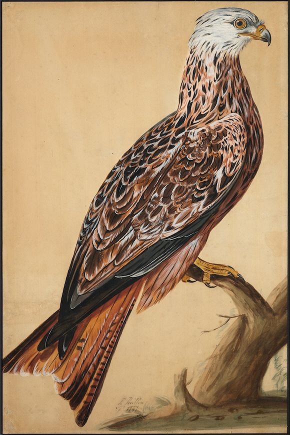 Bonhams Cornette de Saint Cyr : Peter Paillou (Actif en Angleterre ...