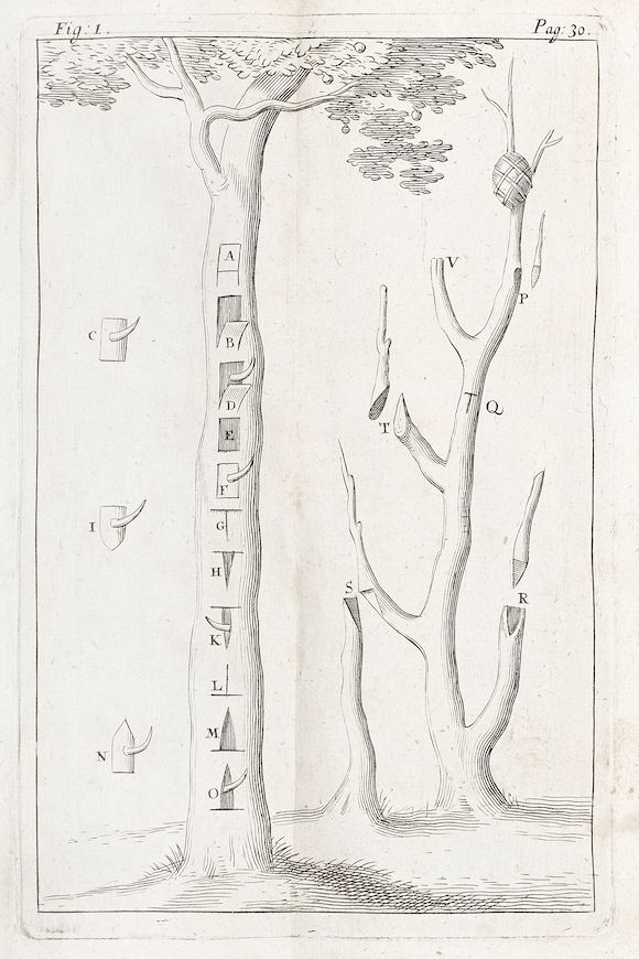 Bonhams : LANGFORD (THOMAS) Plain and Full Instructions to Raise All ...