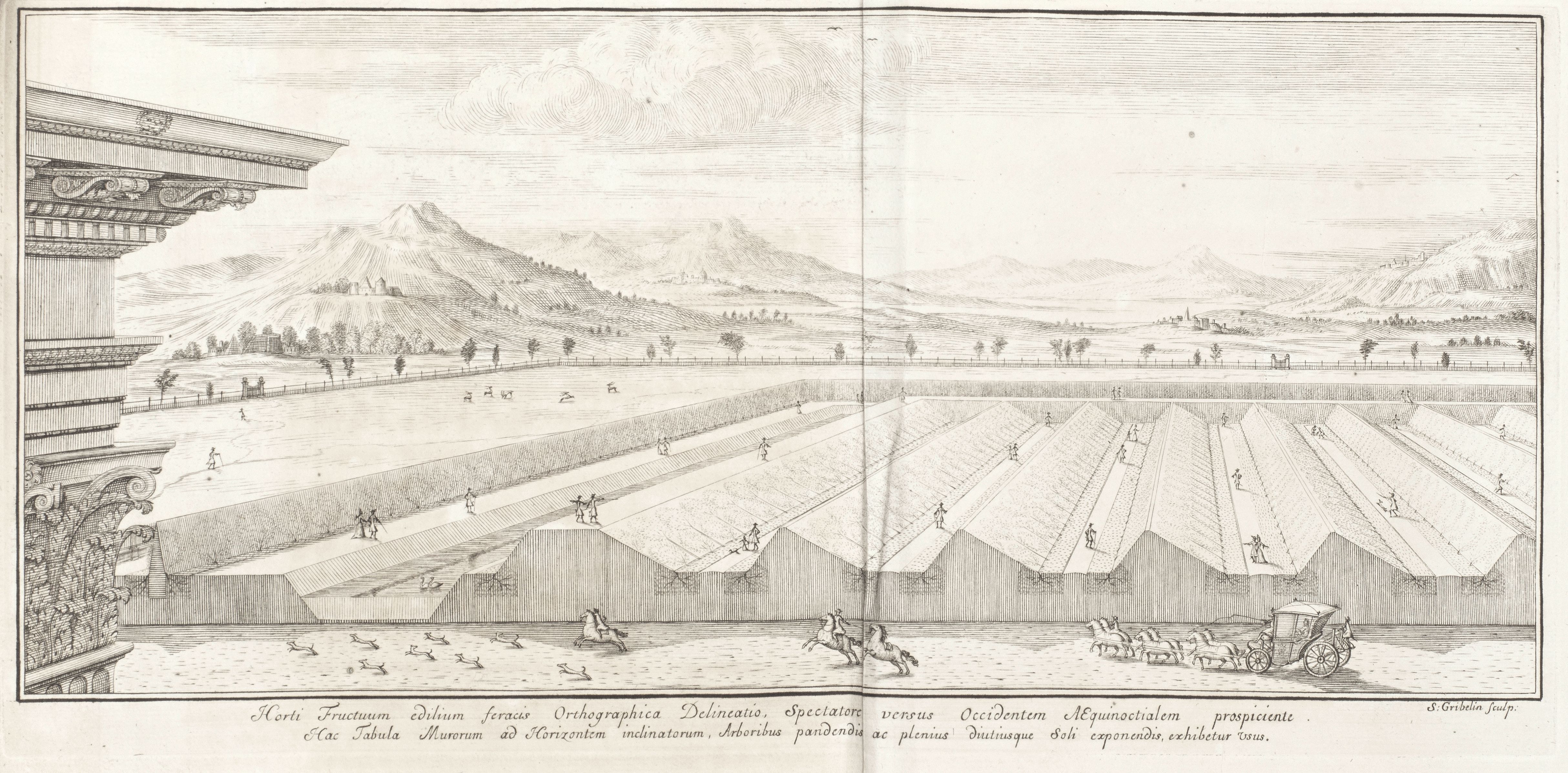 Bonhams : FATIO DE DUILLIER (NICOLAS) Fruit-Walls Improved, by ...
