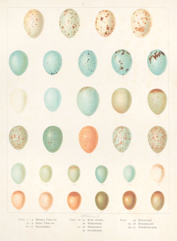 Bonhams : BUTLER (ARTHUR G.) British Birds with their Nests and Eggs ...