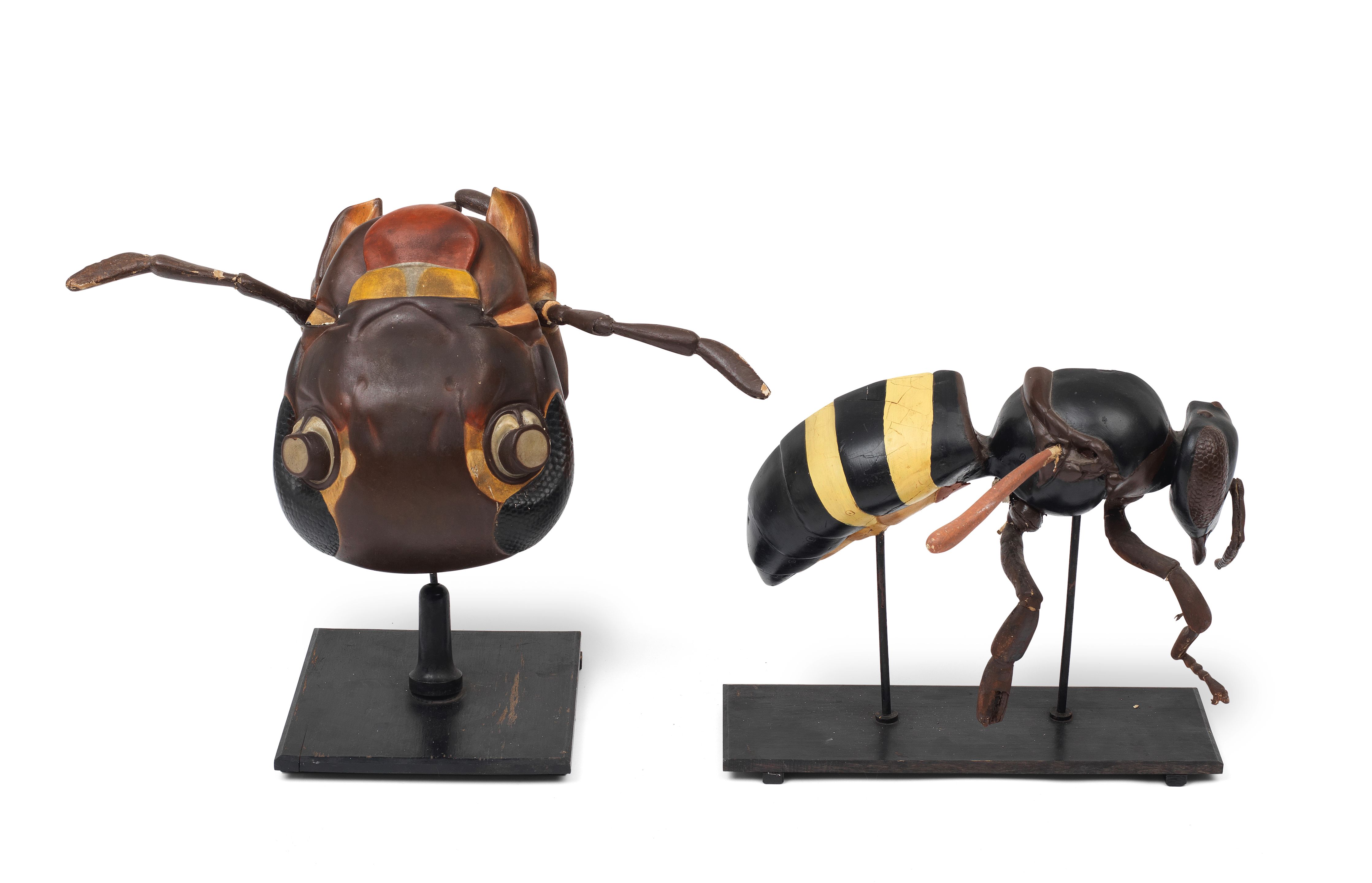 A large plaster entomological model of a wasp and a head - auctions ...