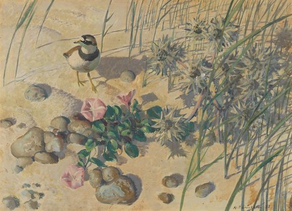Bonhams : Keith Hope Shackleton (British, 1923-2015) Ringed plover's domain