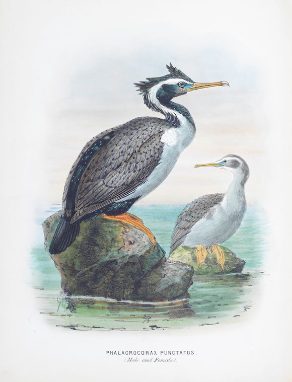 Bonhams : BULLER (WALTER LAWRY) A History of the Birds of New Zealand ...