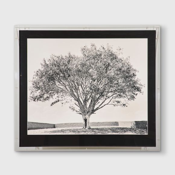 Bonhams : Shirin Neshat (Iranian, born 1957) Tooba, 2002,