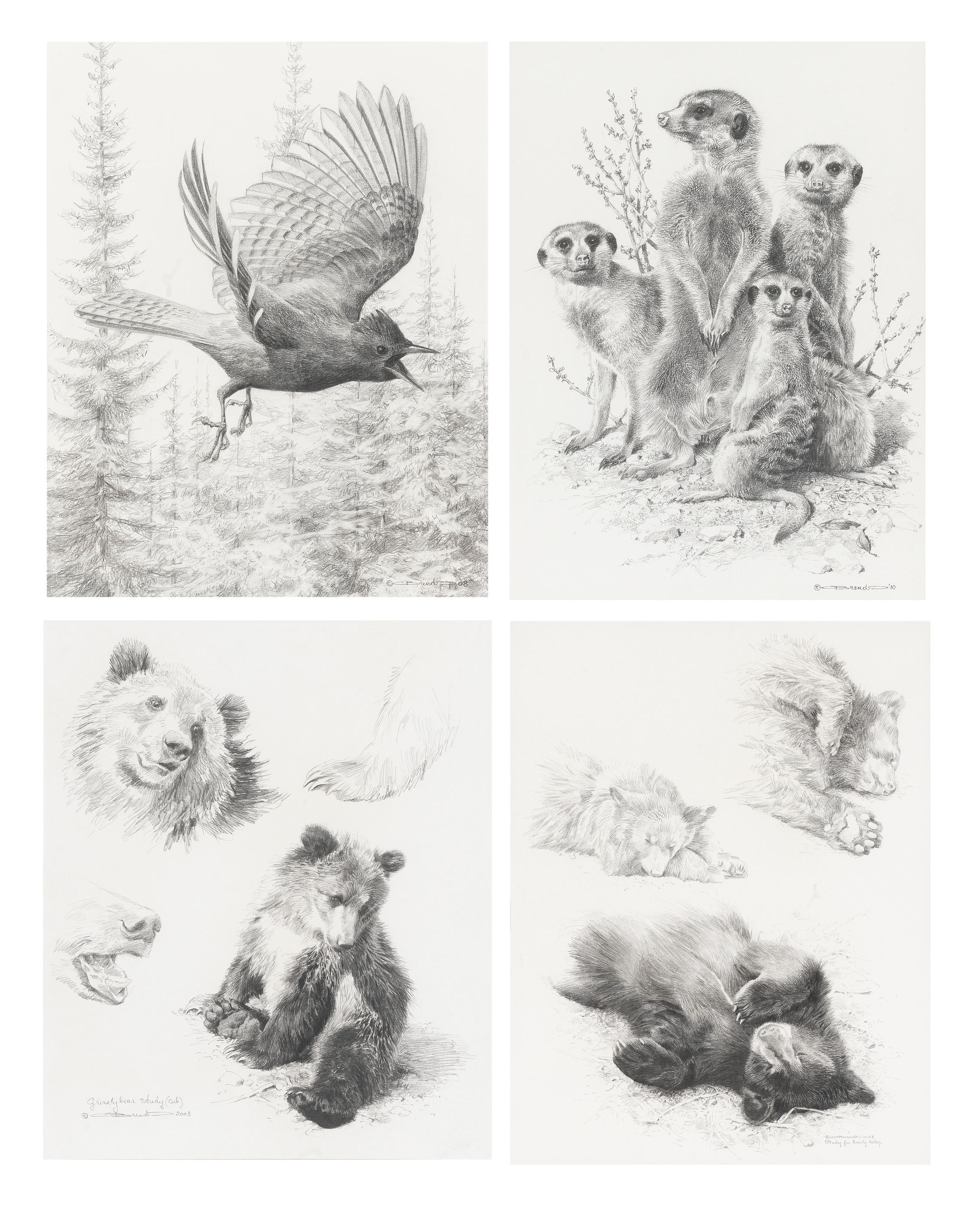 Bonhams : Carl Brenders (American, born 1937) Four studies from nature ...