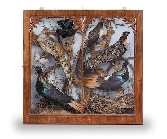 Bonhams : A late 19th century taxidermy display depicting a group of ...