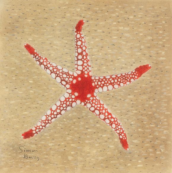 Bonhams : Simon Albert Bussy (British, 1870-1954) Starfish 23.2 x 23.2 ...