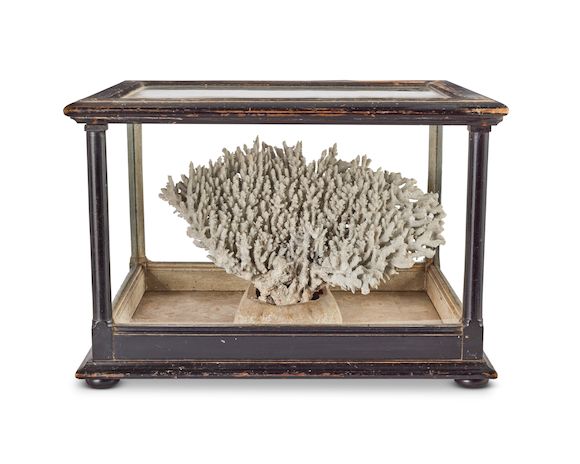 Bonhams : A large Victorian coral specimen Late 19th / early 20th century