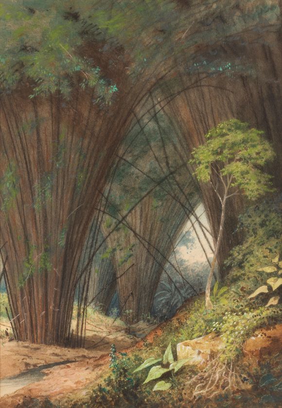 Bonhams : Michel Jean Cazabon (Trinidadian, 1813-1888) Bamboo arches ...
