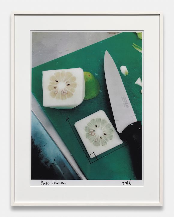 Bonhams : ABBAS ZAHEDI (B. 1984) Plato Lemon 2016