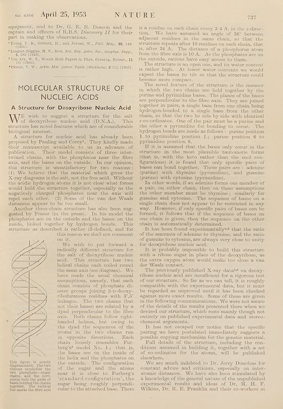 Bonhams : CRICK AND WATSON - DNA AND GENETICS WATSON (JAMES D.) AND ...