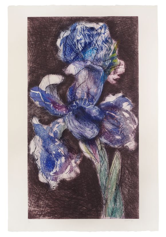 Bonhams : William Kentridge (South African, born 1955) Dutch Iris II ...