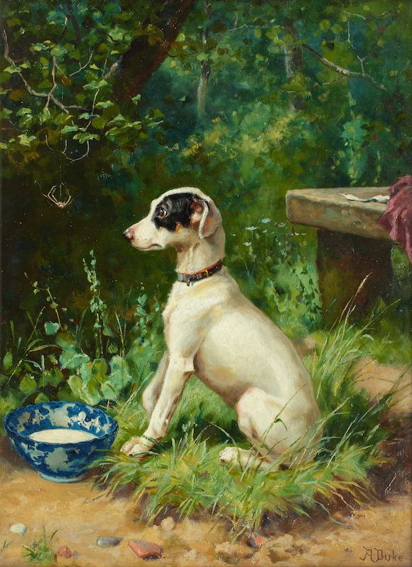 Bonhams : Alfred Duke (British, 1863-1905) A White Terrier by its bowl