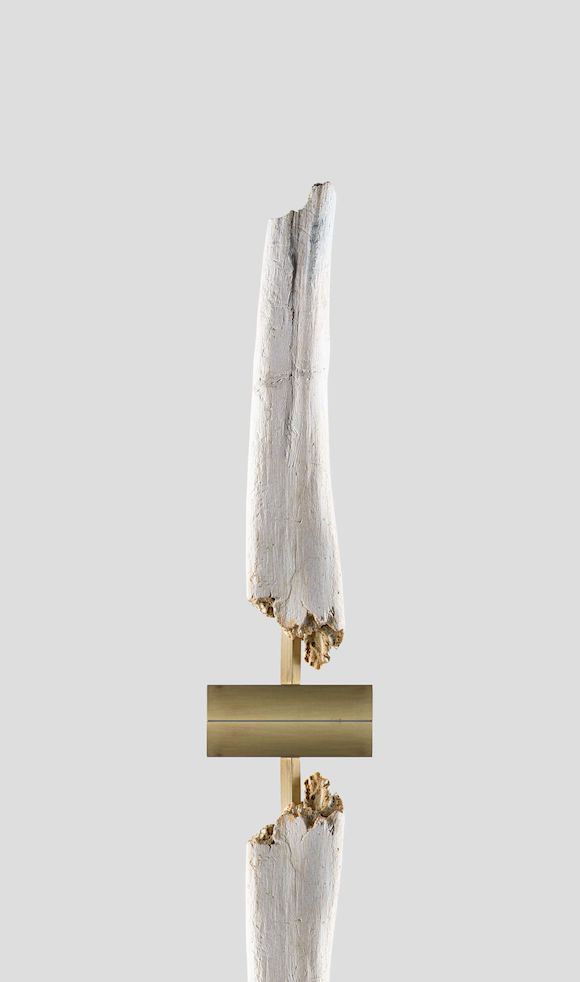 Bonhams : Spinosaurus Aegyptiacus Spine Lizard Dinosaur Tibia Bone,